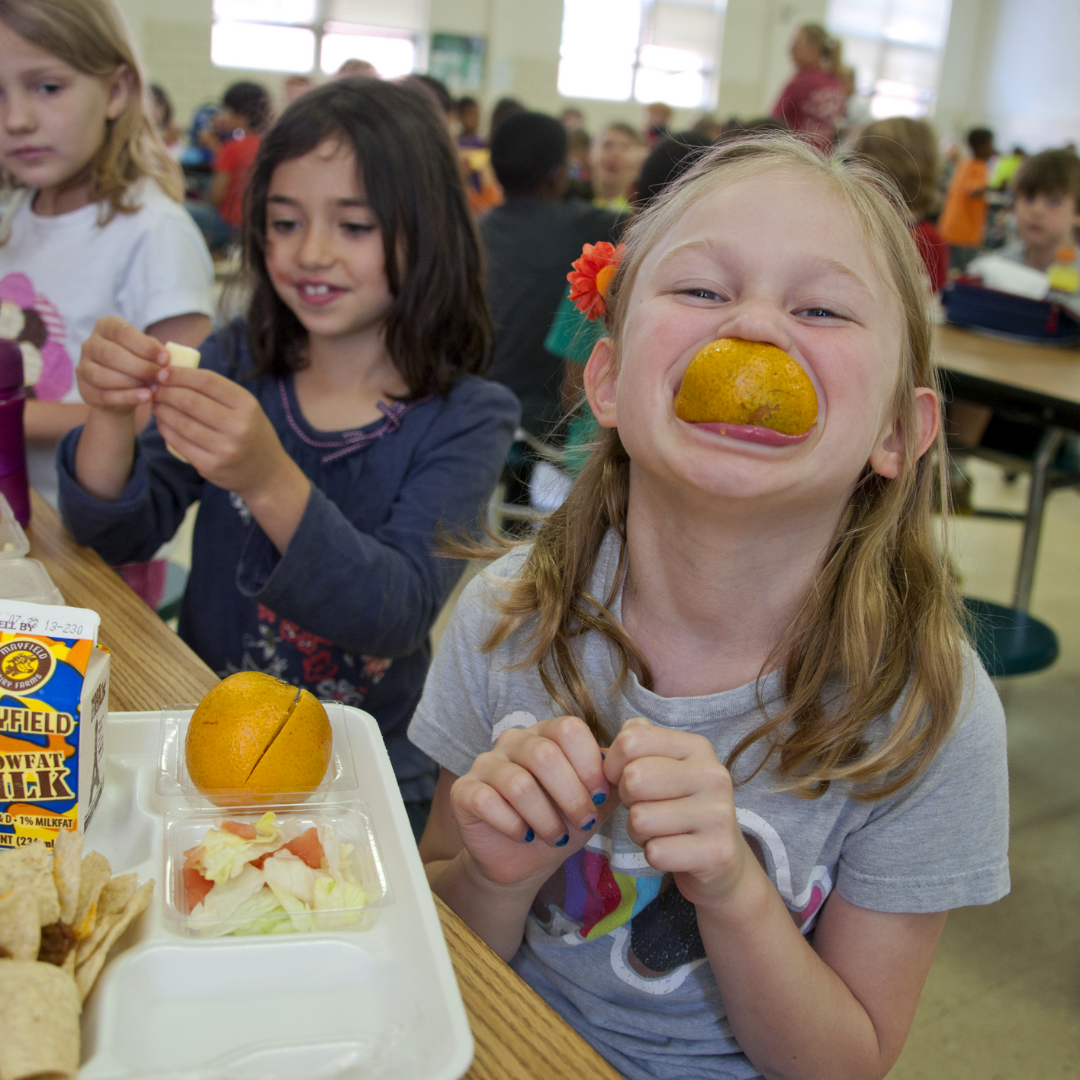 Is the National School Food Program Working? | The 905er